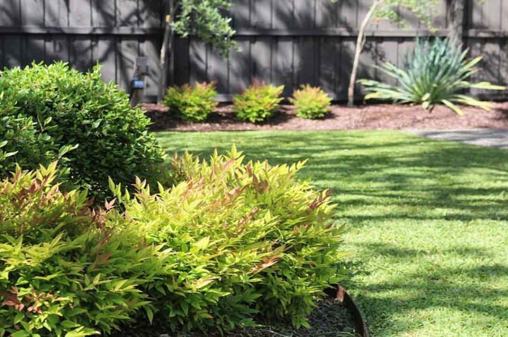 Boodle Concepts - St Kilda East garden design & construction - Boodle ...